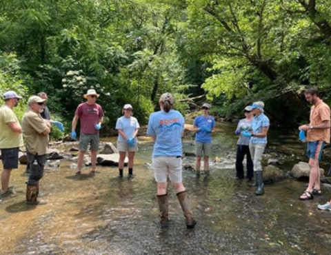 SC Adopt-a-Stream | South Carolina Department of Environmental Services